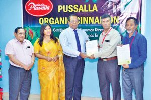 Pussalla diversified to organic cinnamon cultivation, processing ...