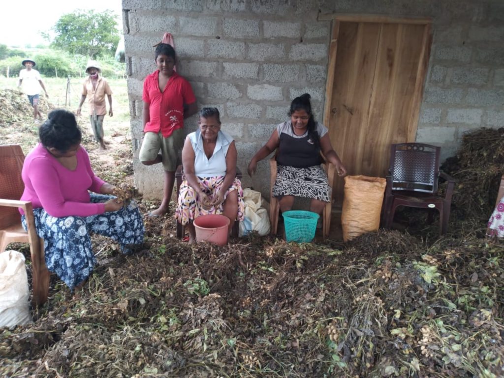 Empowering The Future of Female Farmers - Adaderana Biz English | Sri ...