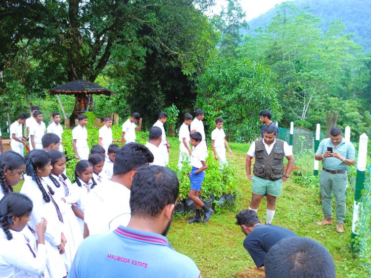 Brewing a better planet: Bogawantalawa Tea sets global benchmarks in ...