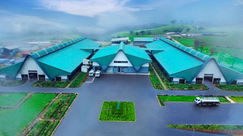 Ambewela Farms Achieves Record-Breaking Daily Milk Production of 60,000 ...