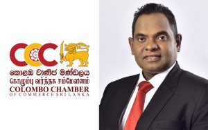 India-Sri Lanka Partnership to Drive Digital Transformation: A ...