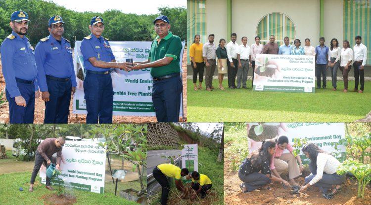 Link Natural Continues to Champion Sustainability for a Greener Sri ...