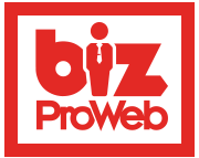 Affordable & Professional Web Design for Business • bizProWeb