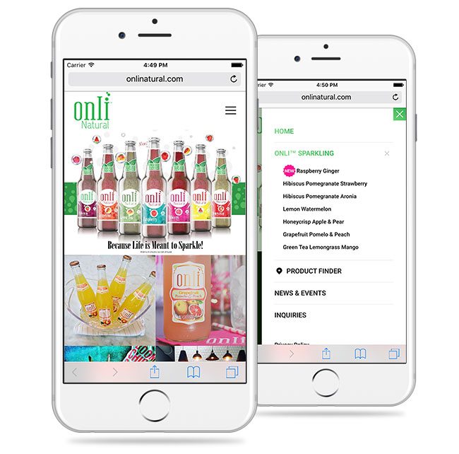 Affordable & Professional Web Design for Business • bizProWeb