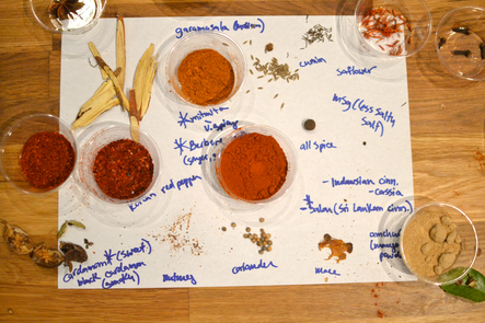 The Medieval Spice Trade