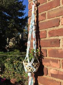 Macrame Plant Hangers (Windsor Terrace)