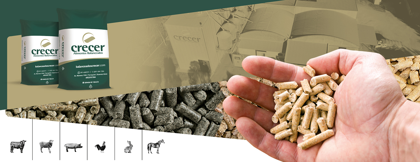 Alimentos Balanceados Crecer - Certified B Corporation - B Lab Global