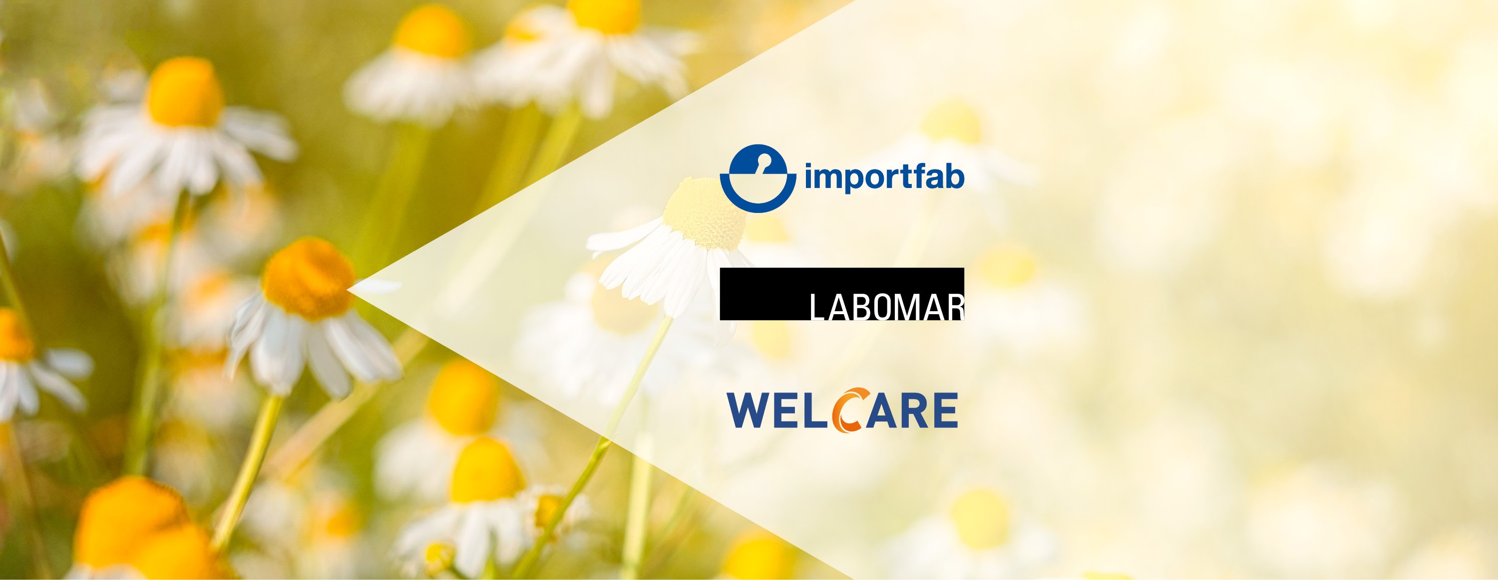 Labomar Group - Certified B Corporation - B Lab Global