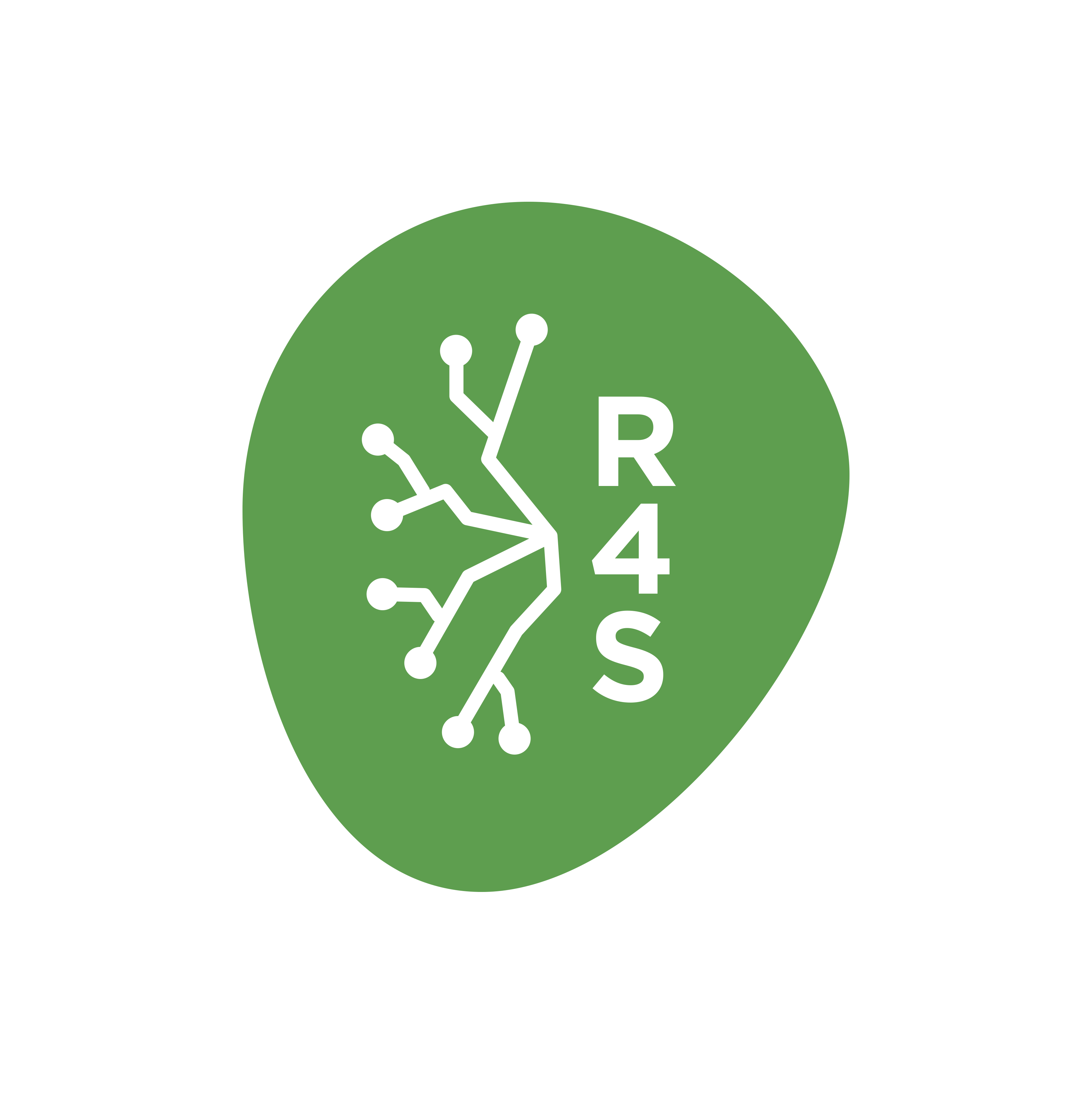 Roots for Sustainability (R4S) - Certified B Corporation - B Lab Global