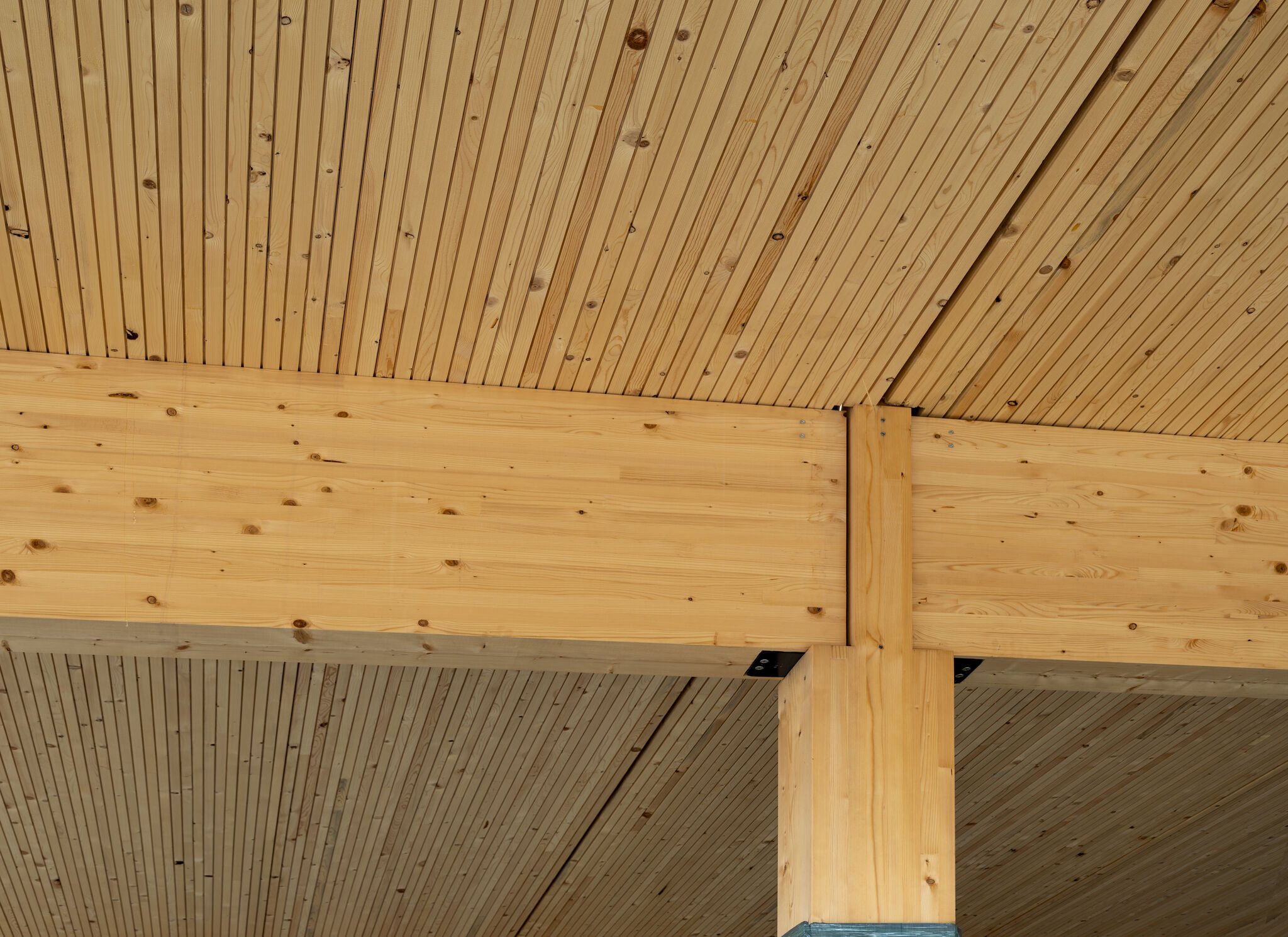 Baltimore's First Heavy Timber Office Building Is Rising