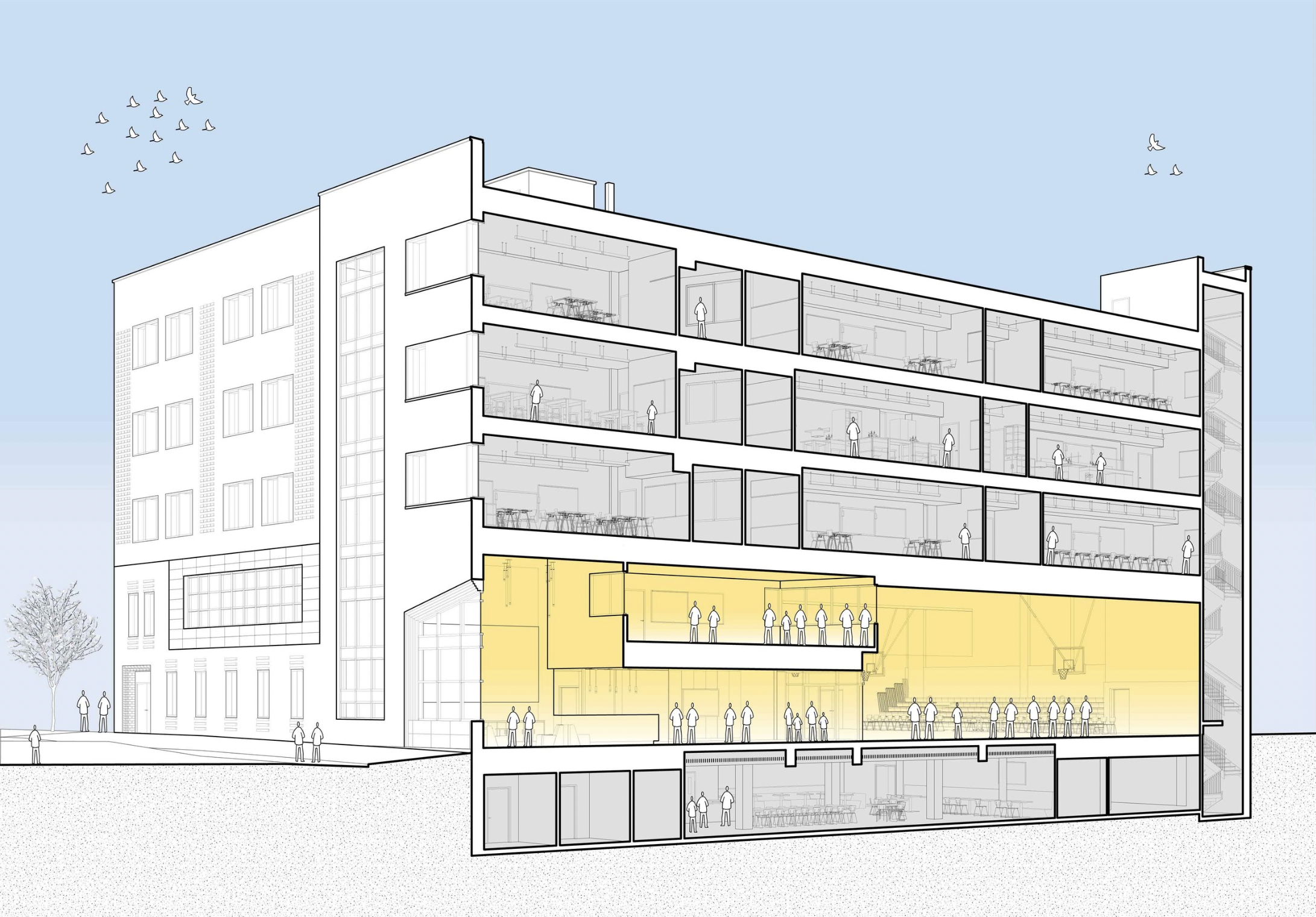 Basketball School Rises in Mott Haven