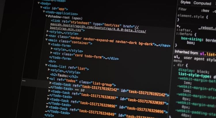 Programador Iniciante: Tudo que você precisa saber!