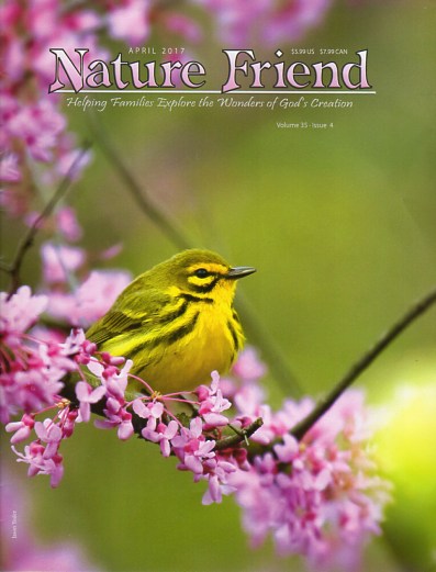 Nature Friend, April 2017 - Creation and Science Chronicle