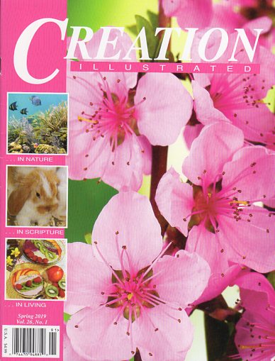 Creation Illustrated, Spring 2019 - Creation and Science Chronicle
