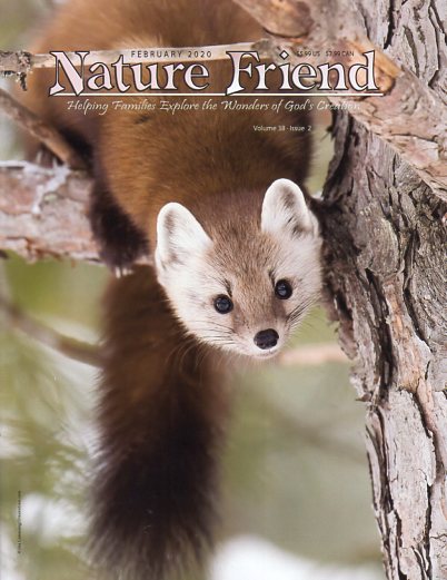 Nature Friend, February 2020 - Creation and Science Chronicle