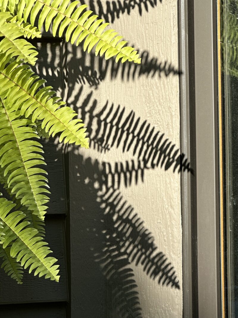 Collecting Shadows – Dancing at the Edge