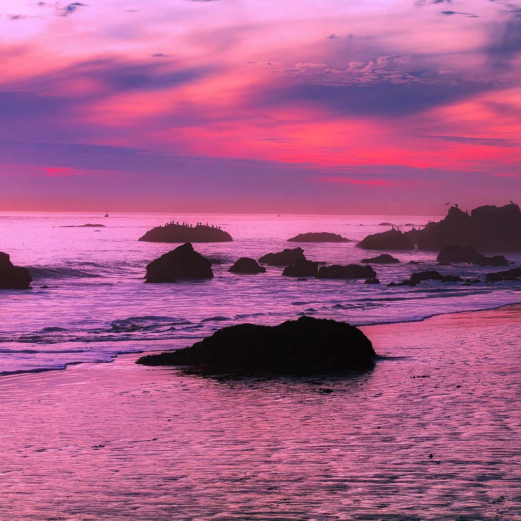 Beach-Header | Malibu Beach Inn Hotel Blog