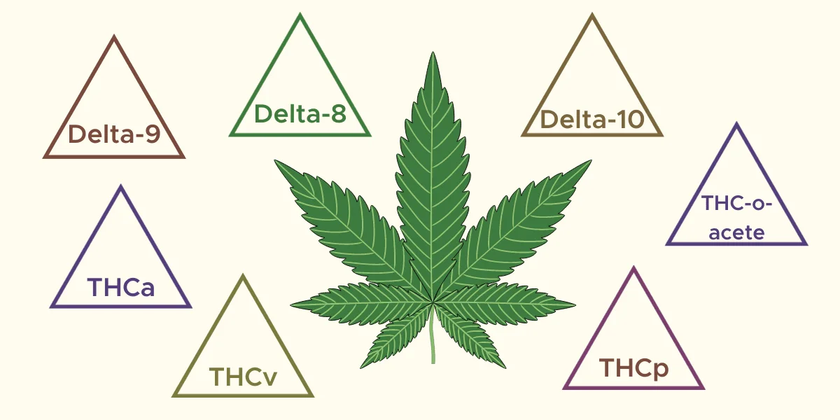 The Mind-Altering World of THC: A Guide to Its Many Forms and Potent ...