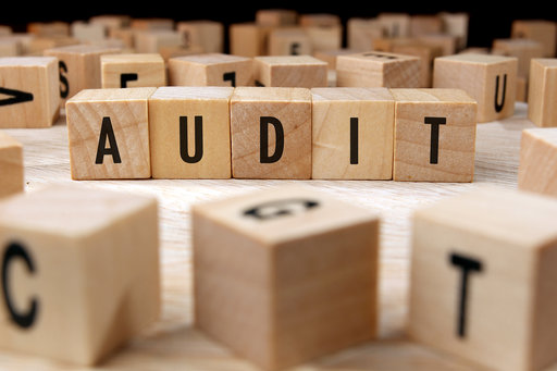 What are the top challenges in the field of audit? | VComply