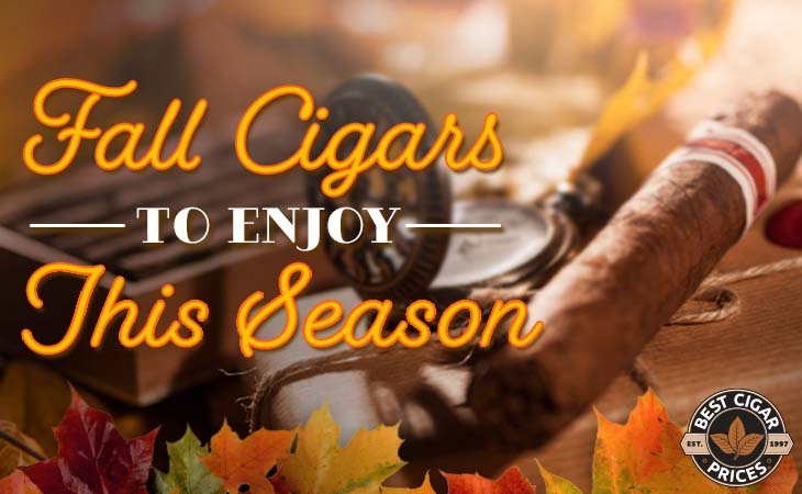 Fall Cigars to Enjoy This Season | Best Cigar Prices