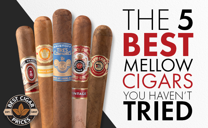 The 5 Best Mellow Cigars You Haven't Tried | Best Cigar Prices