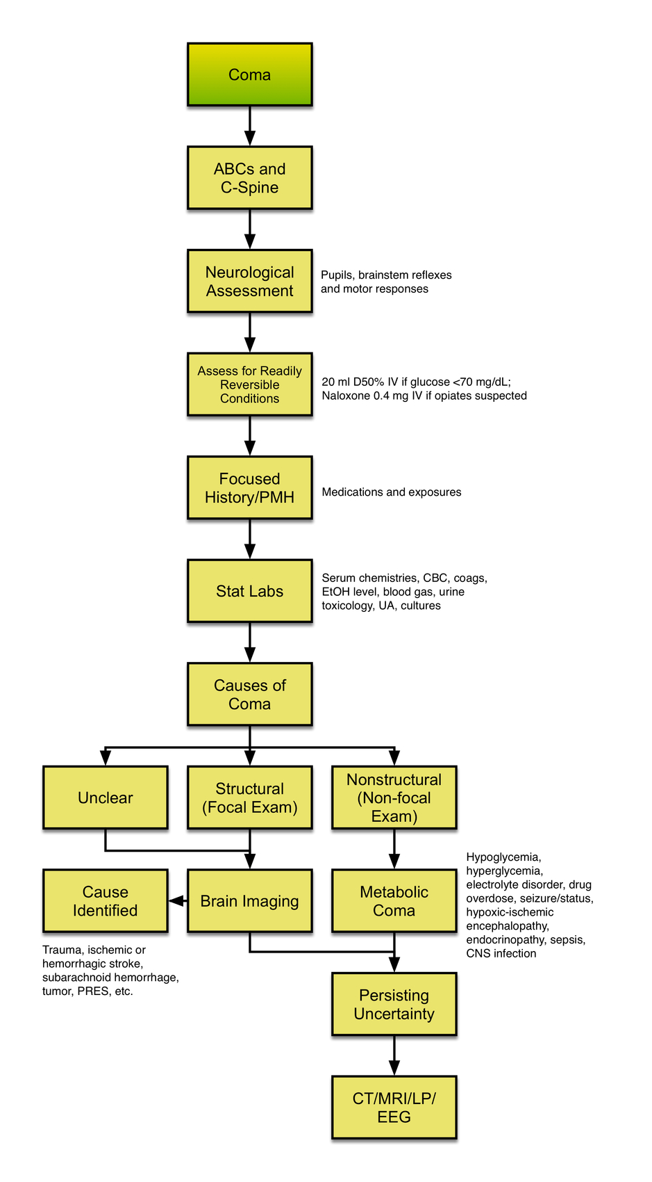 Approach to the Comatose Patient | NCS