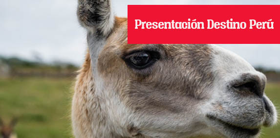 Presentacion destino Perú 2022 - CTM en Línea