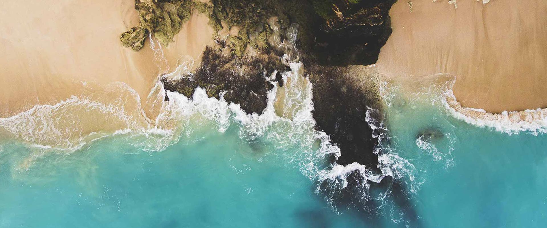 Banner - CTM en Línea