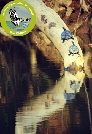 Reserva Nacional Natural Nukak - CTM en Línea