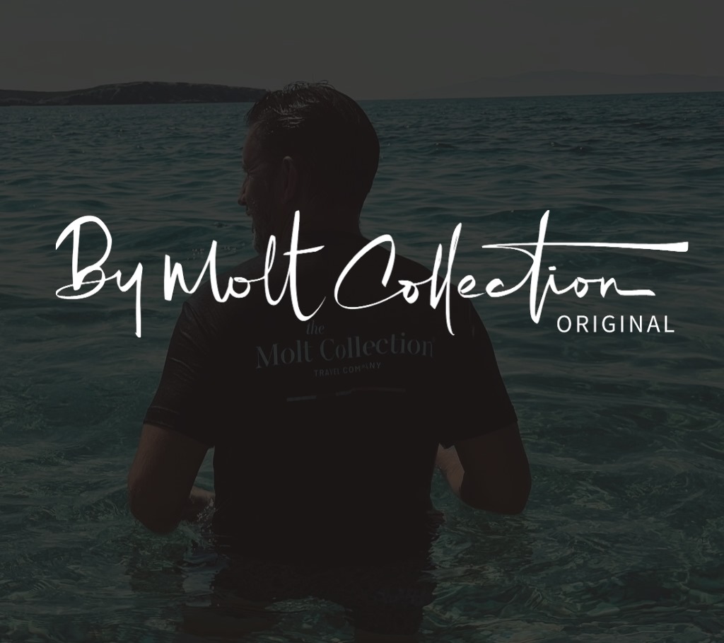 TMC - The Molt Collection