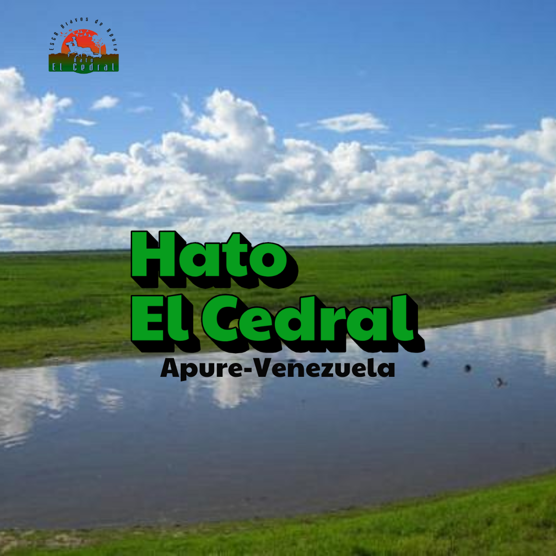 Hato el Cedral, Apure - Agencia de Viajes My Destiny