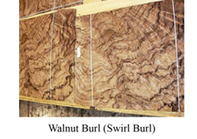 Burls - Booth Veneers
