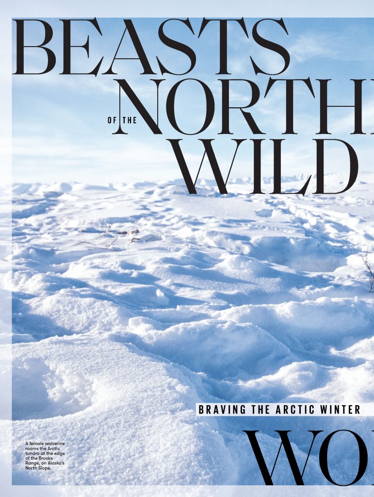 2021 Magazine Feature Story – 2021 NPPA Best of Photojournalism