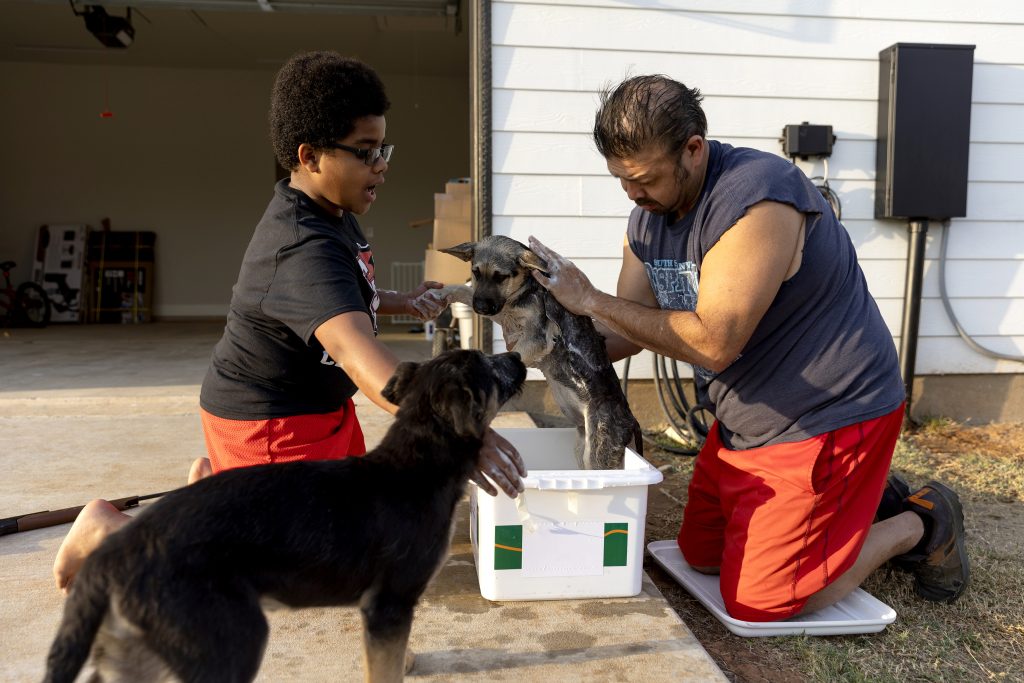 2023 Photojournalist of the Year, Small Market - 2023 NPPA Best of ...