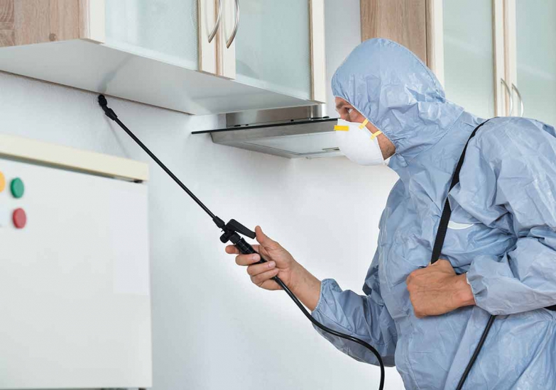 Your Guide to Pest Control Safety | Five Star Rated