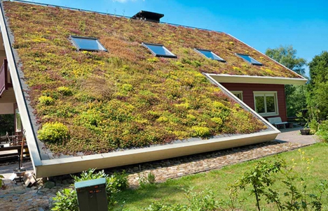 Roofing 101: Assessing Your Roof for Damage and Simple DIY Repairs ...