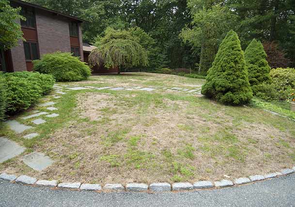 Lawn Care Maintenance Mistakes: Do You Make Them? | Best Pick Reports