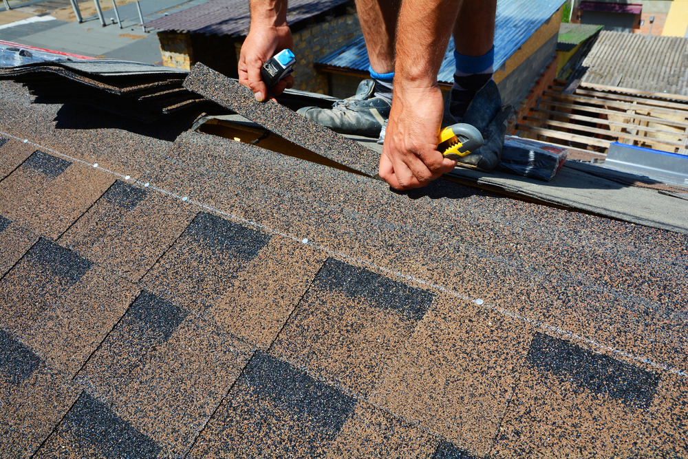 Pros and Cons of Common Types of Shingles | Best Pick Reports