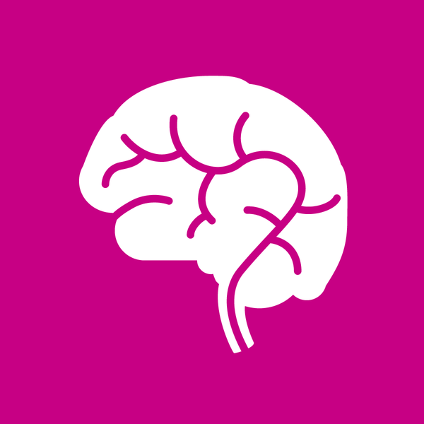 Brain Anatomy Flashcards - Learn Parts of the Brain | Brainscape