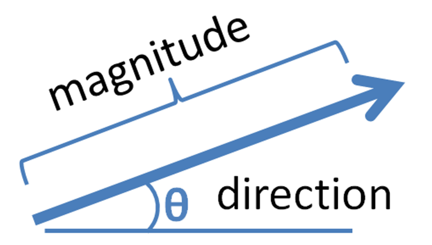 Newton, Units & Translation for Physics 101 | Brainscape