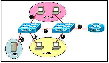 CCNA – VLAN Questions Flashcards by Serg Gray | Brainscape
