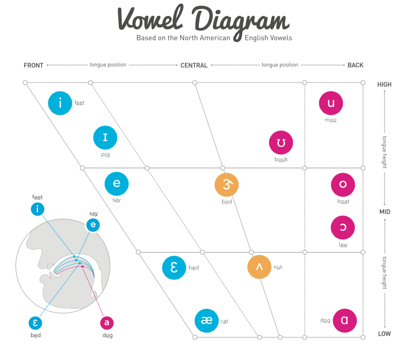 Consonant Tongue Placement Chart