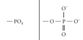 Phosphate Functional Group Example