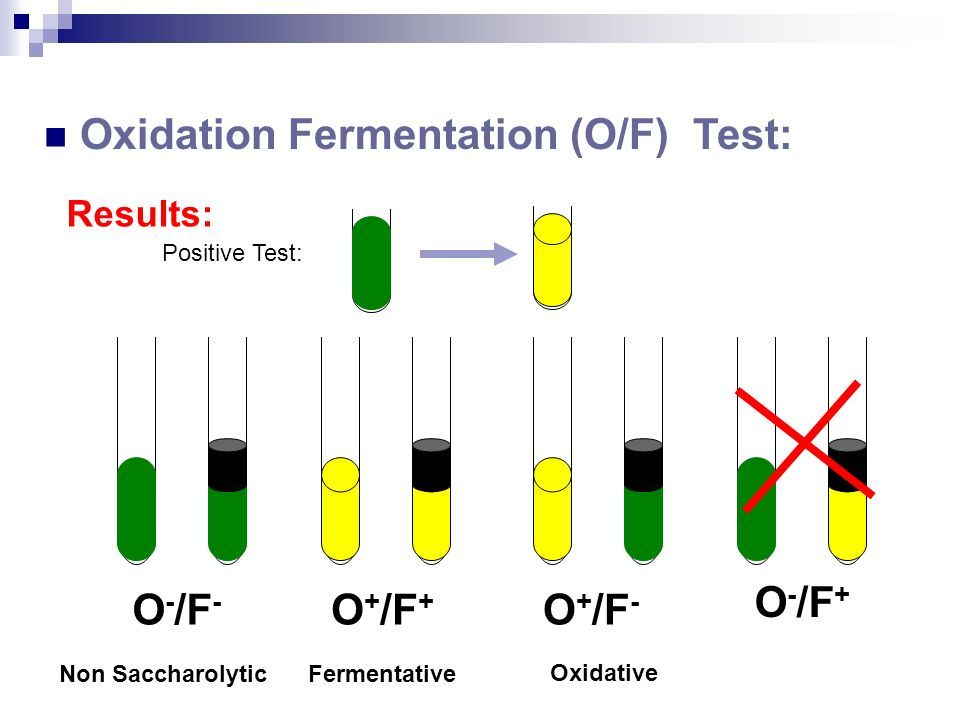 Oxidation Fermentation Test