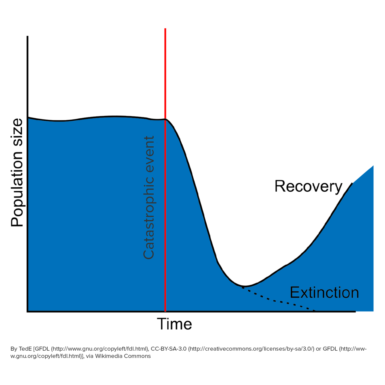 Evolution for AP® Biology | Brainscape