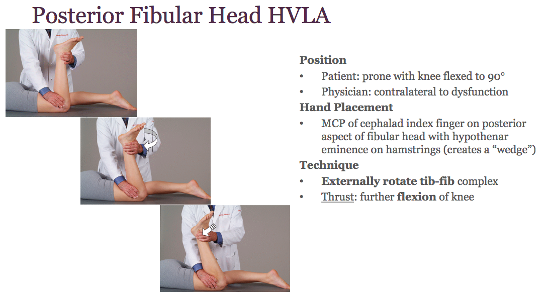 Lab 3: LE HVLA/BLT Flashcards by Erik Hammond | Brainscape