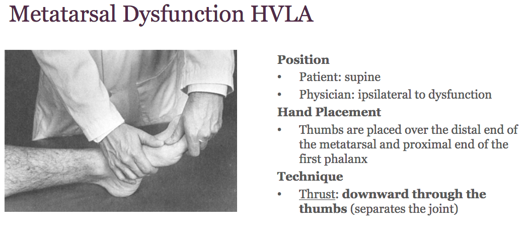 Lab 3: LE HVLA/BLT Flashcards by Erik Hammond | Brainscape