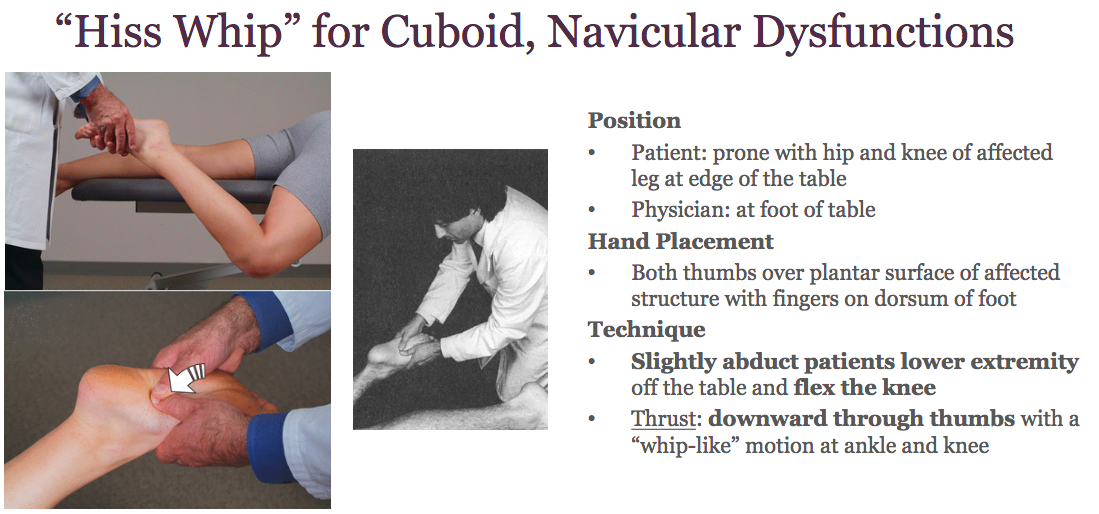 Lab 3: LE HVLA/BLT Flashcards by Erik Hammond | Brainscape