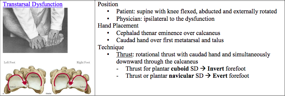 Lab 3: LE HVLA/BLT Flashcards by Erik Hammond