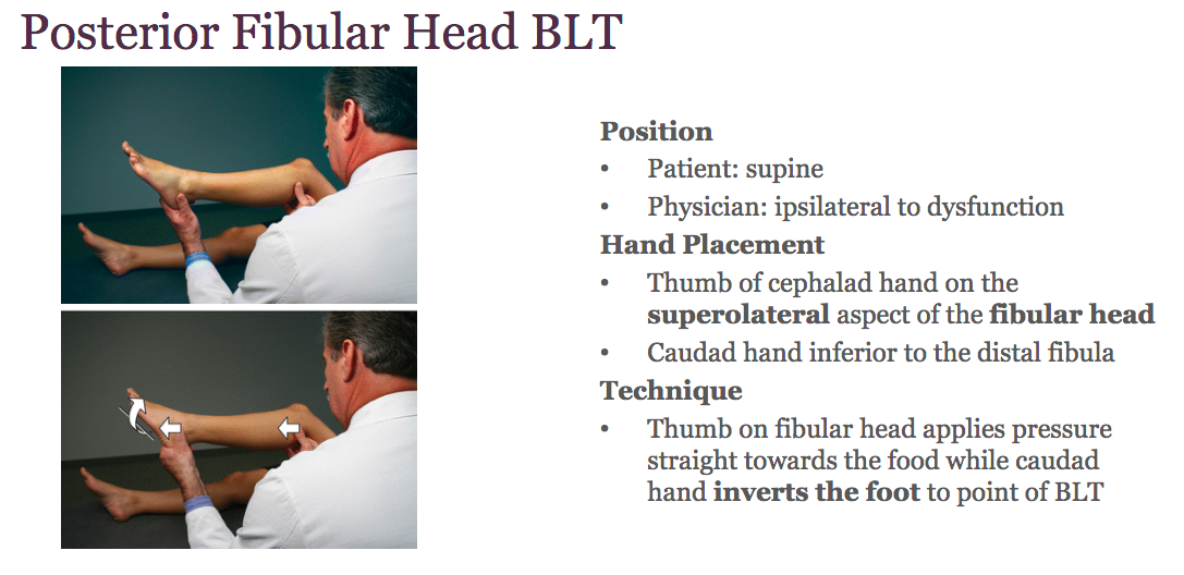 Lab 3: LE HVLA/BLT Flashcards by Erik Hammond | Brainscape